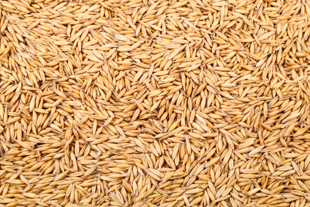 Steamed & Rolled Oats 20kg – Variety Fencing & Farm Supplies
